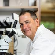 Gareth Howell, Ph.D. Profile | Tufts University