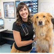 Hannah Melhorn, DVM, DACVIM (Cardiology) Teaching Activities | Tufts ...