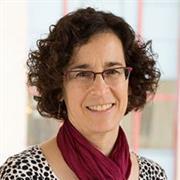 Norma Terrin, Ph.D. Professional Activities | Tufts University