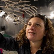 Randi Rotjan Profile | Tufts University