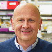 Stephen Moss, Ph.D. Profile | Tufts University