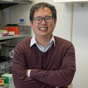 Yi-Pin Lin, Ph.D. Profile | Tufts University